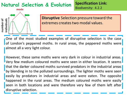 New OCR AS Biology Natural Selection & Evolution Lesson | Teaching ...