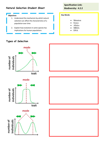 New OCR AS Biology Natural Selection & Evolution Lesson | Teaching ...