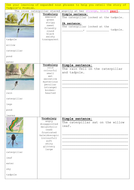 Alan Peat 2A sentence - Tadpole's Promise | Teaching Resources