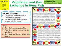 New OCR AS Biology Gas Exchange & Ventilation in Fish Lesson | Teaching ...