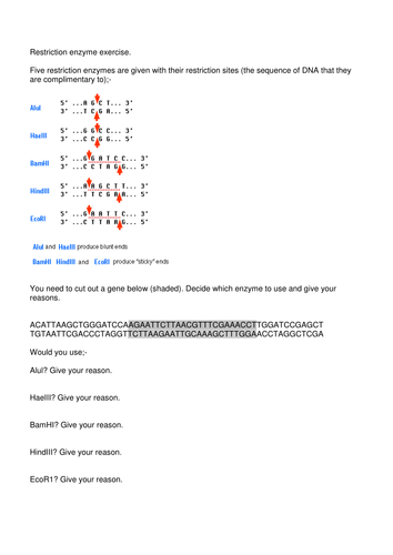 Restriction enzymes - how they work and choosing the right one ...