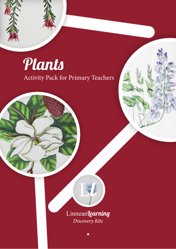 Plants Discovery Kit - Activity Pack | Teaching Resources