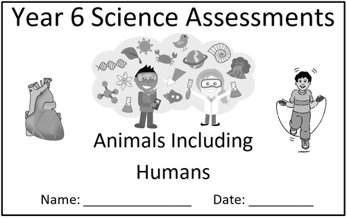 Year 6 Science Assessment: Animals Including Humans by mrajlong ...