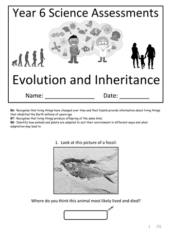 Year 6 Science Assessment: Evolution and Inheritance | Teaching Resources Year 6 Science Assessment: Evolution and Inheritance | Teaching Resources