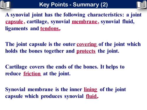 PE12STb - Skeletal System - 2 (Joints & Articulation) | Teaching Resources
