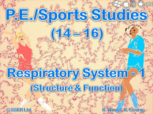 PE15ST - Respiratory System - 1 (Structure & Function) | Teaching Resources