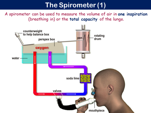 PE15ST - Respiratory System - 2 (Lung Volumes & Respirometry ...