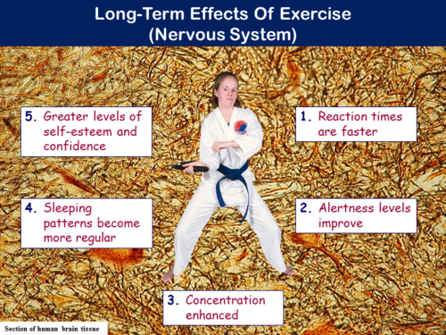 PE21ST - The Effects of Exercise | Teaching Resources