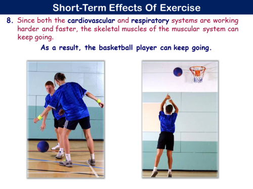 PE21ST - The Effects of Exercise | Teaching Resources