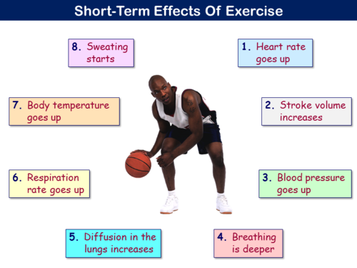 PE21ST - The Effects of Exercise | Teaching Resources