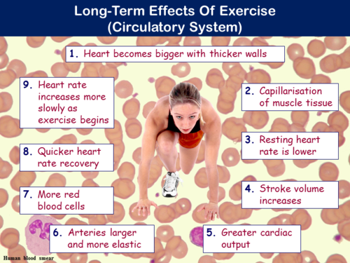 PE21ST - The Effects of Exercise | Teaching Resources