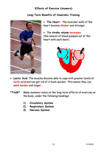 PE21ST - The Effects of Exercise WS | Teaching Resources