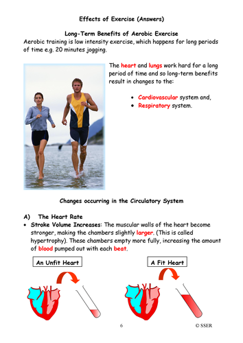 PE21ST - The Effects of Exercise WS | Teaching Resources