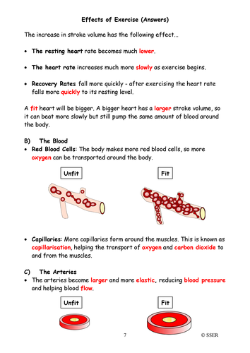 PE21ST - The Effects of Exercise WS | Teaching Resources