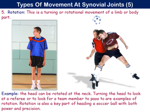 PE21ST - Movement Analysis - Planes & Axes (AQA) | Teaching Resources