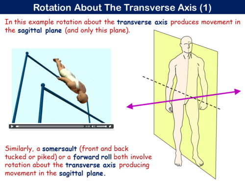 PE21ST - Movement Analysis - Planes & Axes (AQA) | Teaching Resources