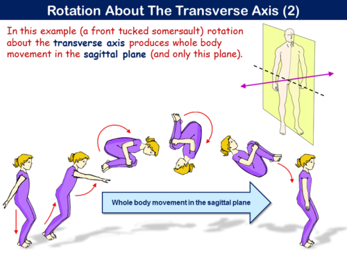 PE21ST - Movement Analysis - Planes & Axes (AQA) | Teaching Resources