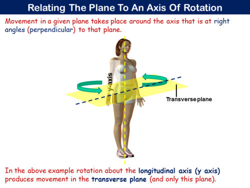 PE21ST - Movement Analysis - Planes & Axes (AQA) | Teaching Resources