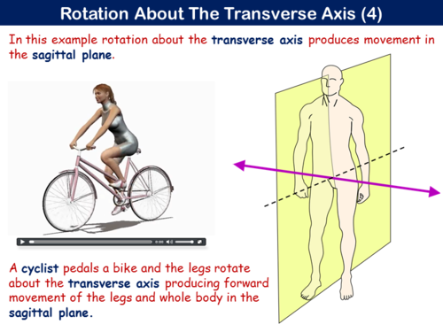 PE21ST - Movement Analysis - Planes & Axes (AQA) | Teaching Resources