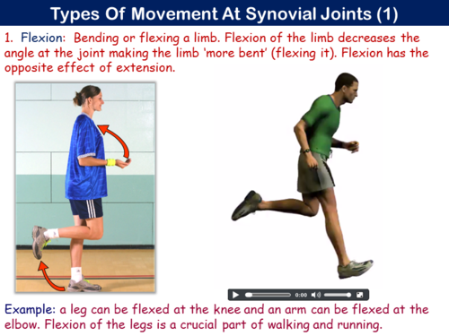 PE21ST - Movement Analysis - Planes & Axes (AQA) | Teaching Resources