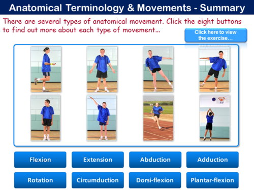 PE21ST - Movement Analysis - Planes & Axes (AQA) | Teaching Resources