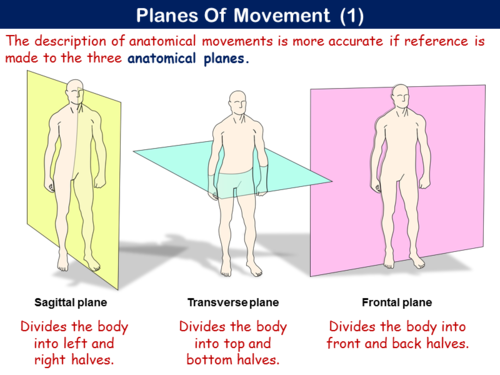 PE21ST - Movement Analysis - Planes & Axes (AQA) | Teaching Resources