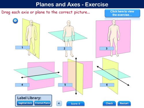 PE21ST - Movement Analysis - Planes & Axes (AQA) | Teaching Resources