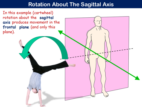 PE21ST - Movement Analysis - Planes & Axes (AQA) | Teaching Resources