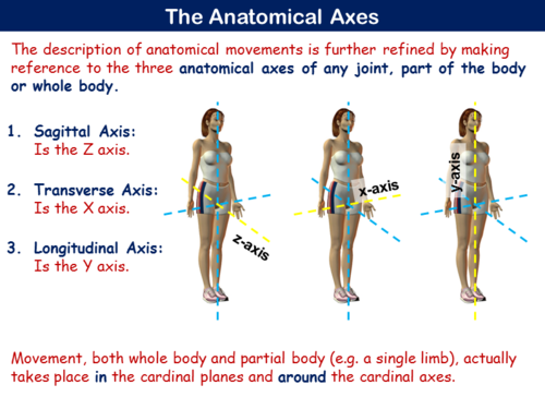 PE21ST - Movement Analysis - Planes & Axes (AQA) | Teaching Resources