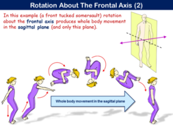 PE21ST - Movement Analysis - Planes & Axes (Edexcel) | Teaching Resources