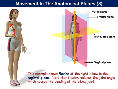 PE21ST - Movement Analysis - Planes & Axes (Edexcel) | Teaching Resources