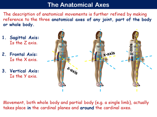 PE21ST - Movement Analysis - Planes & Axes (Edexcel) | Teaching Resources