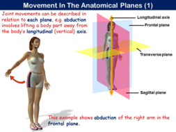 PE21ST - Movement Analysis - Planes & Axes (OCR) | Teaching Resources