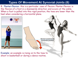 PE21ST - Movement Analysis - Planes & Axes (OCR) | Teaching Resources