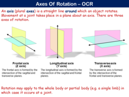 PE21ST - Movement Analysis - Planes & Axes (OCR) | Teaching Resources