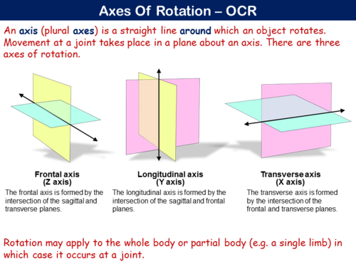 PE21ST - Movement Analysis - Planes & Axes (OCR) | Teaching Resources