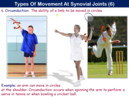 PE21ST - Movement Analysis - Planes & Axes (OCR) | Teaching Resources