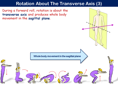 PE21ST - Movement Analysis - Planes & Axes (OCR) | Teaching Resources