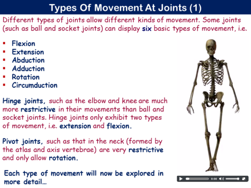 PE21ST - Movement Analysis - Planes & Axes (OCR) | Teaching Resources