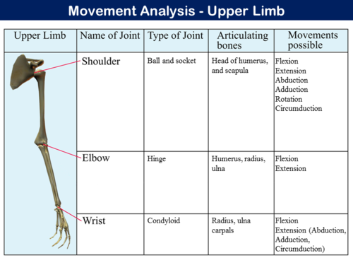 PE21ST - Movement Analysis - Planes & Axes (OCR) | Teaching Resources
