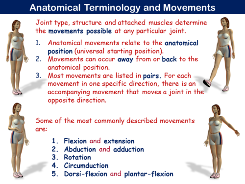 PE21ST - Movement Analysis - Planes & Axes (OCR) | Teaching Resources