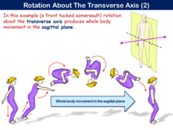 PE21ST - Movement Analysis - Planes & Axes (OCR) | Teaching Resources