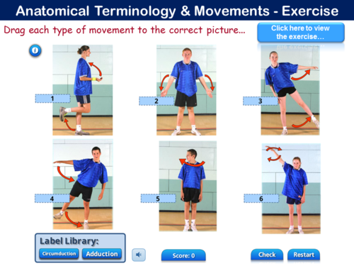 PE21ST - Movement Analysis - Planes & Axes (OCR) | Teaching Resources