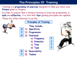 PE32ST - The Principles Of Training - 1 (Specificity, Progression ...