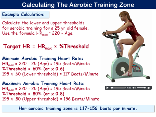 PE32ST - The Principles Of Training - 2 (Aerobic & Anaerobic Fitness ...