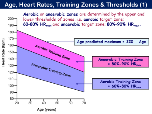 PE32ST - The Principles Of Training - 2 (Aerobic & Anaerobic Fitness ...