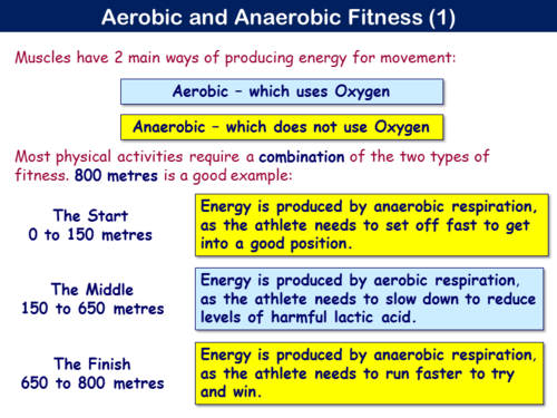 PE32ST - The Principles Of Training - 2 (Aerobic & Anaerobic Fitness ...