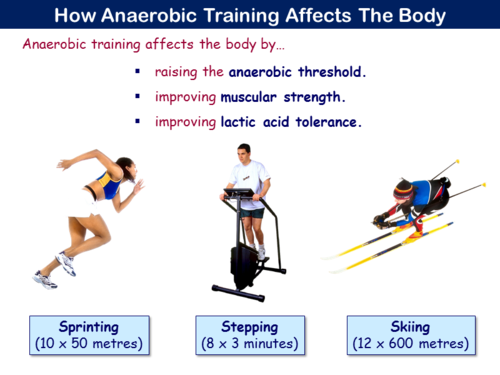PE32ST - The Principles Of Training - 2 (Aerobic & Anaerobic Fitness ...