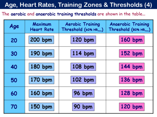 PE32ST - The Principles Of Training - 2 (Aerobic & Anaerobic Fitness ...