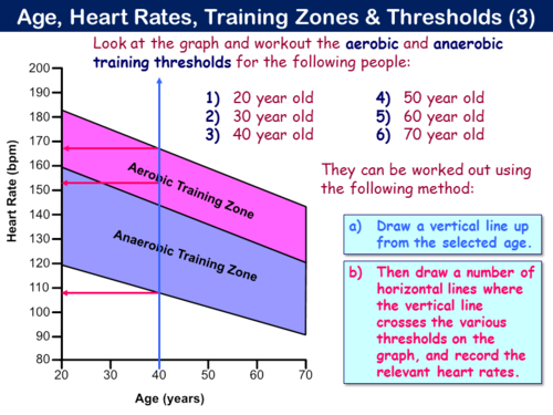 PE32ST - The Principles Of Training - 2 (Aerobic & Anaerobic Fitness ...